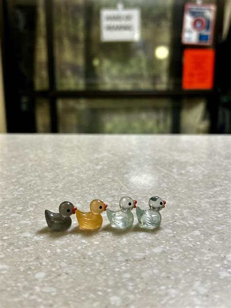 We Have Teeny Tiny Ducks At My Hospital Too R Mildlyinteresting