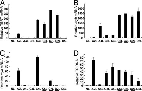 Telomerase Reverse Transcriptase Expression Elevated By Avian Leukosis Virus Integration In B