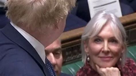 Ridiculous Claims In Nadine Dorries Book On The Downfall Of Boris Johnson Mirror Online