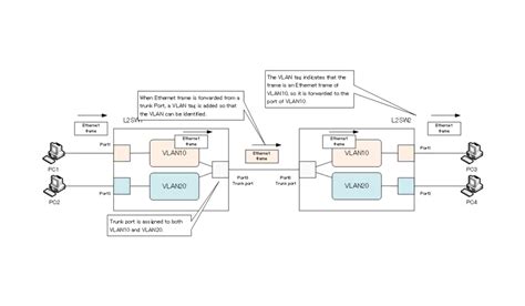 Trunk Port Port Assigned To Multiple VLANs VLAN Virtual LAN N Study