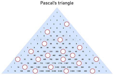 Pascal S Triangle In A Blue Yellow Triangle Stock Vector Illustration