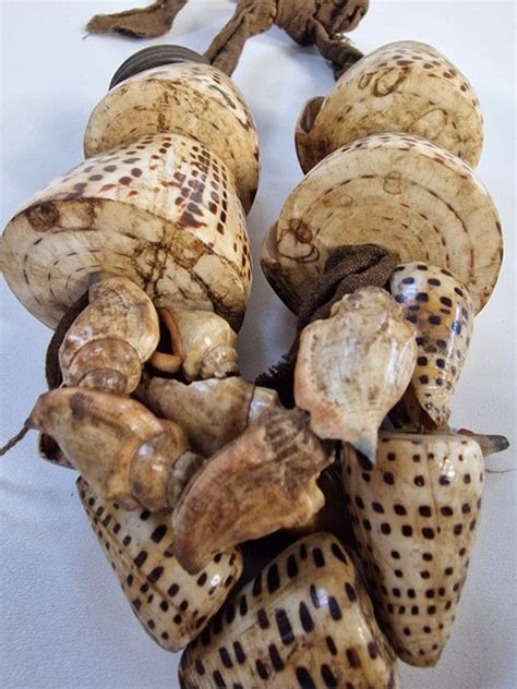 Antique Old Sepik Region New Guinea Conus Shell Money Tribal Necklace Etsy