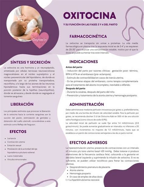 Oxitocina Y Trabajo De Parto Brenda Muñoz Udocz