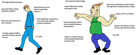 The Virgin Python Developer Vs The Chad Assembly Prodigy Rvirginvschad