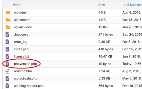 How To Know The PHP Version Of WordPress On Your Site NameHero Blog