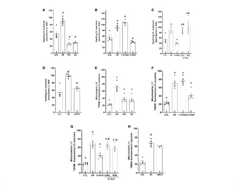 Mitochondrial Swelling And Mitochondrial Transmembrane Potential