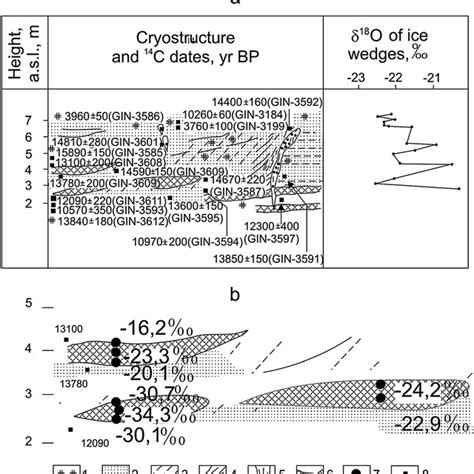 Classification Of Syncope Download Table