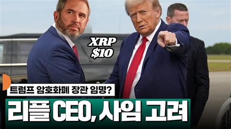 리플 Ceo 사임 고려 트럼프 정부 암호화폐 장관 임명 Xrp Youtube 리플 Ceo 사임 고려 트럼프 정부 암호화폐 장관 임명 Xrp Youtube