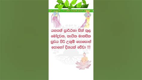 යහපත් ප්‍රාර්ථනා සිත් තුල මෝදුවන කායික මානසික සුවය පිරි උතුම් පොසොන් පොහෝ දිනයක් වේවා Youtube