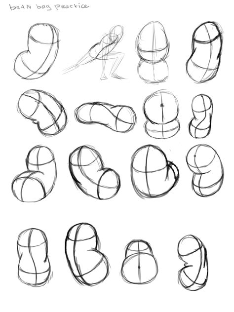 bean torso drawing at barbara slye blog