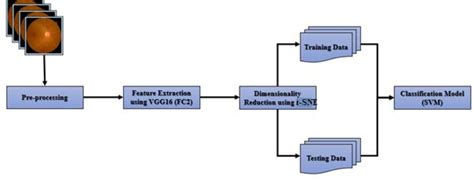 Figure 1 From Deep Convolution Features In Non Linear Embedding Space