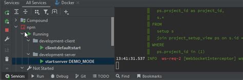 Intellij 20221 Does Not Stop Terminal Processes For Npm Run Configurations Anymore Stack Overflow