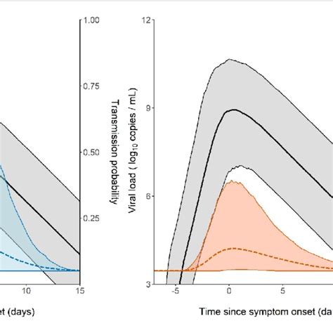 Model Based Predictions Of The Dynamics Of Viral Load And Download Scientific Diagram