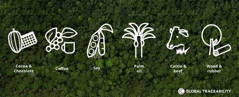 Eudr Eu Deforestation Free Regulation