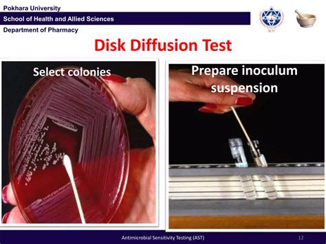 Antimicrobial Sensitivity Testing Ast Pptx