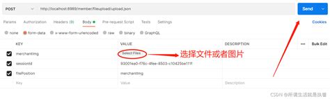 Postman测试上传文件上传图片postman测试上传图片 Csdn博客