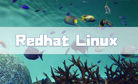 Sourceコマンドとで親プロセスと子プロセスの違いを確認 Cybertechnarrative