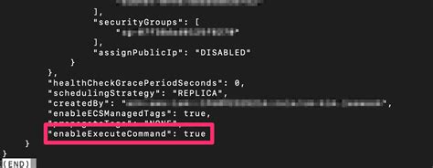 Amazon Ecs Exec를 이용해서 Amazon Fargate 컨테이너로 접속해 보기 Developersio