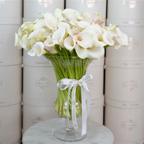 Call Her Lily Jlf Los Angeles Florist