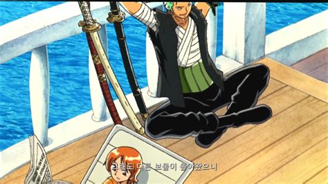 투디갤 ㅁㅊ 밀짚모자 해적단의 보물이 뭔지 아냐