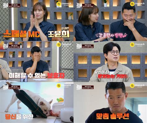 공식 42세 조윤희 이동건과 이혼 5년 만에 기쁜 소식 전했다개와 늑대의 시간 Mc 합류