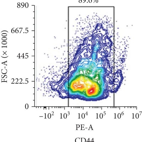 Characterization Of Mscs Flow Cytometry Analysis Of Common Msc Markers Download Scientific