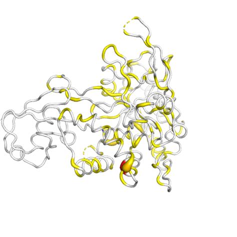Tnfaip3 Gene Somatic Mutations In Cancer