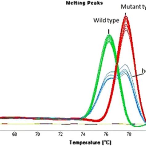Comparison Between Melting Curve Analysis And Sequencing Download Table