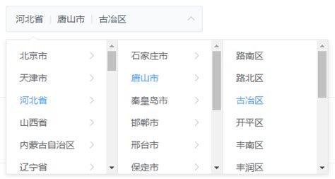 【前端】element Ui 省市县级联选择器 Json数据 Csdn博客