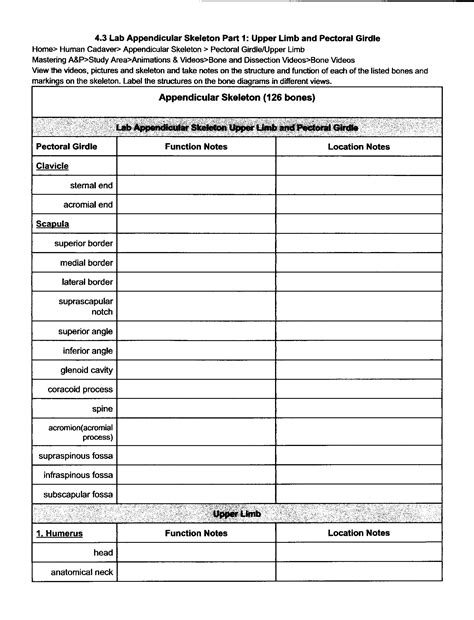 [solved] Post Lab Questions 1 Which Structure Of The Scapula Course Hero