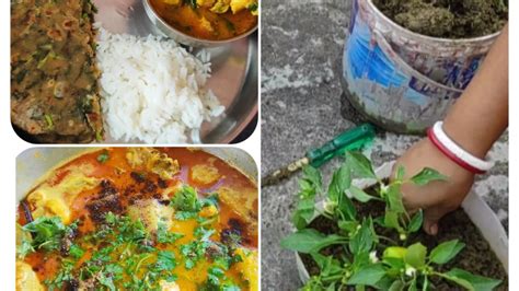 আজ সারাদিনটা আমি কিভাবে কাটালাম Daily Vlog Youtube