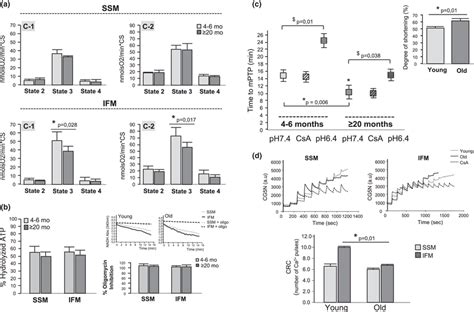 Reduced Fof1‐atp Synthase Dimerization Alters Enzyme Function In Intact Reduced Fof1‐atp Synthase Dimerization Alters Enzyme Function In Intact
