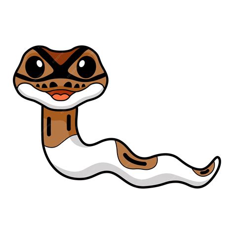 Premium Vector Cute Pied Ball Python Cartoon