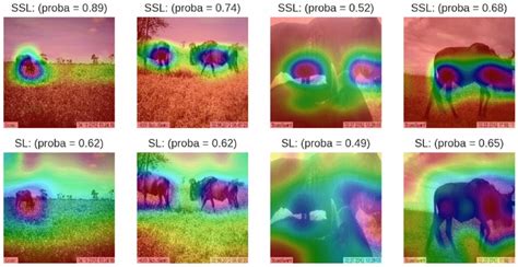Saliency Maps Of Images With Varying Scale Download Scientific Diagram