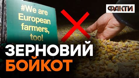 Черги на кордоні Чому йдуть СУПЕРЕЧКИ через українське зерно в ЄС