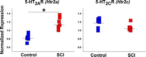 Expression Of 5 Ht2ar And 5 Ht2cr Following Sci 5 Ht2ar Encoded By Download Scientific