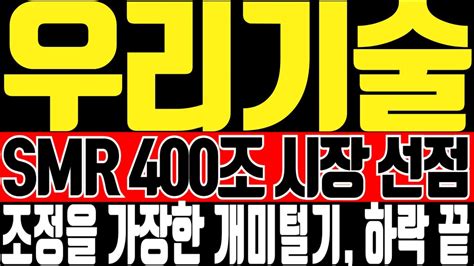 우리기술 Smr 400조 시장 선점 조정을 가장한 개미털기 하락 끝났습니다 최소 200 상승 우리기술 우리기술