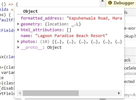 Establishment Support Issue Errorpro React Google Autocomplete Github