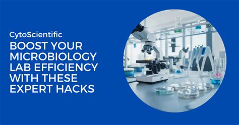 Boost Your Microbiology Lab Efficiency With These Expert Hacks