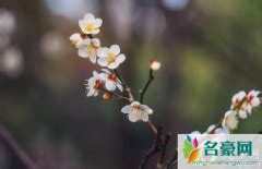 躲春可以听歌吗 躲春要注意什么 百科 名豪网