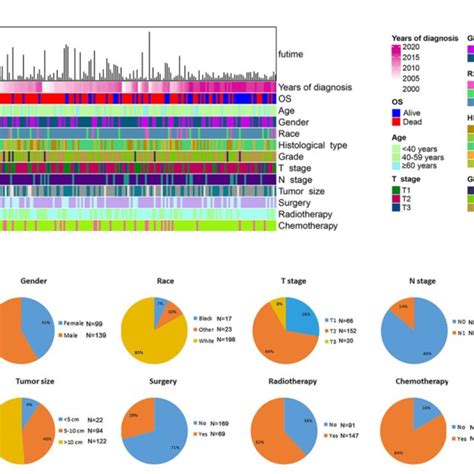 Figure E Integrated Bar Plot And Heatmap Of Demographics Information
