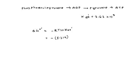 Solved The Reaction Catalyzed By Pyruvate Kinase Is Phosphoenolpyruvate Adp Pyruvate