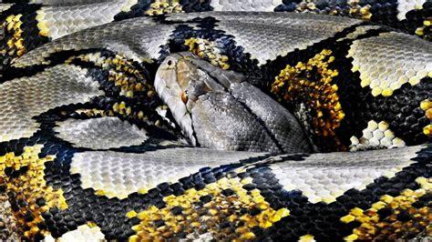 Framework Training B Corp™ On Linkedin Pythonprogramming Pythontraining