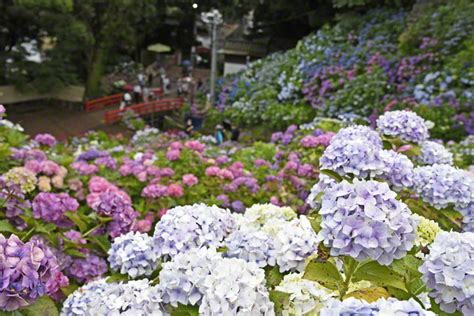 声 読者の投稿 兵庫愛知東京岩手から