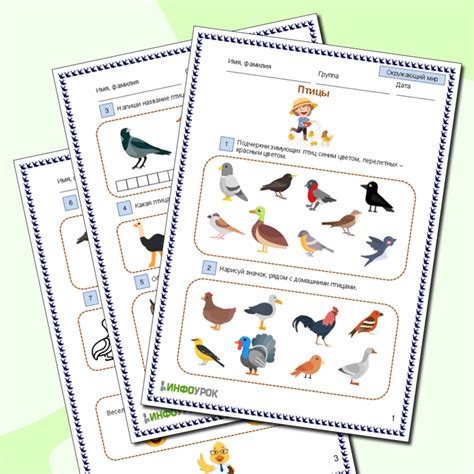 Рабочий лист Птицы