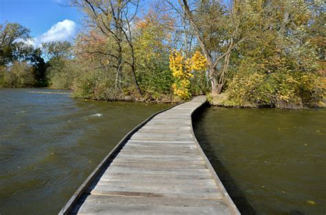 나무 판자로 만든 떠있는 산책로 기둥의 좁은 곡선 길은 호수 물 위 바닥으로 구동된다 난간이 없습니다 개별 원형 보드로 만든 더 많은 디자인 보도 가을 방파제 0명에 대한