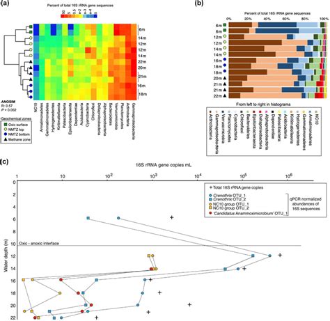 Analysis Of 16s Rrna Gene Data From Microbial Communities In The Download Scientific Diagram