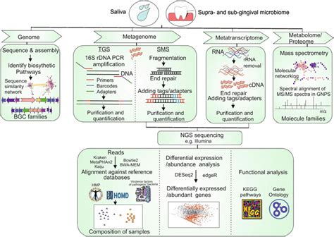 1 Omics Approaches And Bioinformatics Tools For Microbial Community