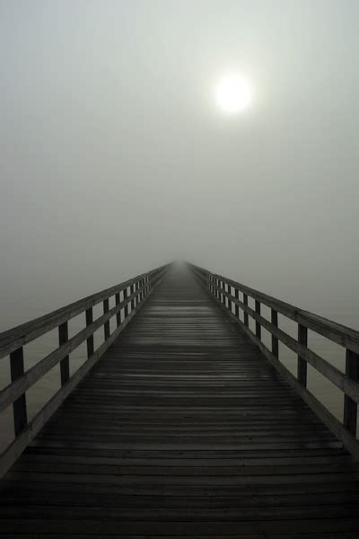 Fog Literotica Discussion Board