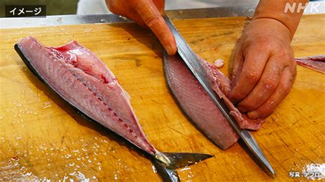 多発するアニサキスに注意 今後の対策について考える食 アニサキスが寄生する魚の種類が増加 原因となる食中毒 ニュー速まとめコアラチャンネル